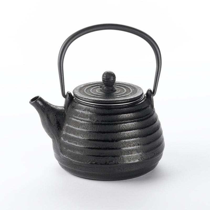 Théière en fonte Japon avec filtre – La vallée des Thés